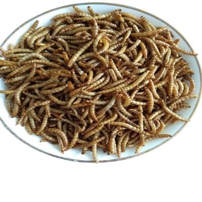 China 25% Fat Dried Mealworms Sourced from Premium Mealworm Raw Material for sale