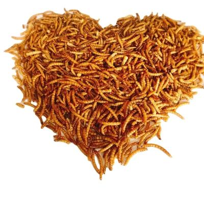 China Optimize Feed Nutrition with Worm Meal Raw Material Mealworm for sale