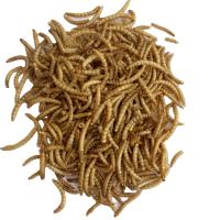 China Premium Quality Worm Meal 1 Year Shelf Life 57% Protein Powder Form for sale