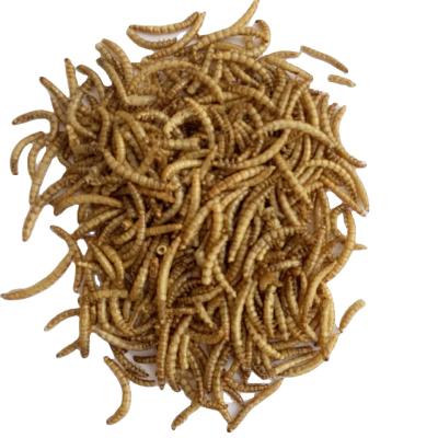 China Premium Quality Worm Meal 1 Year Shelf Life 57% Protein Powder Form for sale