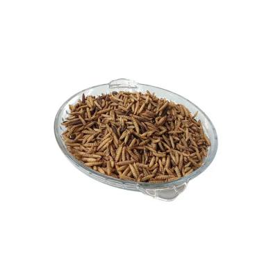 China Origin Dried Black Soldier Fly - Insect Dry And Crispy Texture for sale
