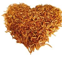 China Worm Meal with Raw Material Mealworm - 100% Pure Whole Dried Mealworms Powder for sale