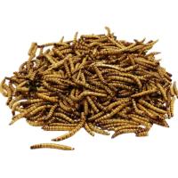 China Add Worm Meal Powder to Cattle Diet for Improved Performance for sale