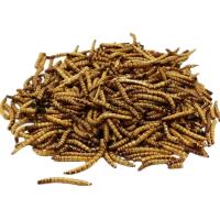 China Discover Dried Mealworm A Natural Insect-based B2B Delicacy from for sale