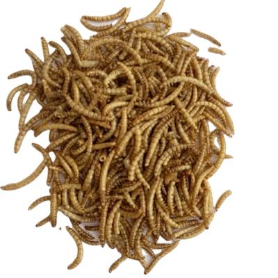 China Top Quality Mealworms Fish Food from - with 1 Year Shelf Life for sale