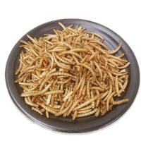 China Dry And Cool Place Storage Mealworms Fish Food with Shelf Life 1 Year for sale