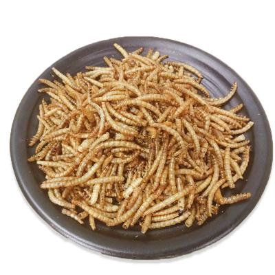 China Dry And Cool Place Storage Mealworms Fish Food with Shelf Life 1 Year for sale