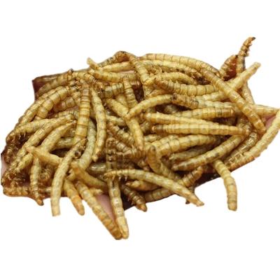 China Sino Crown Dried Mealworms Fish Meal - Exceptional Quality from for sale