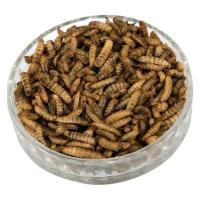 China Packaging Plastic Bags/tubs Coverd By Boxes/cases for Brine Shrimp Eggs Dried Crickets for sale