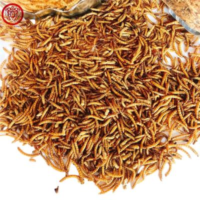 China Insects Mealworms Fish Food Natural Flavor Dry And Cool Place Storage for sale