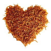 China Feeding Pet Mealworms Fish Food Natural And Nutritious Dried Mealworms Fish Meal for sale