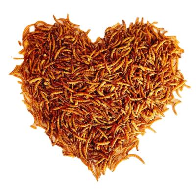 China Feeding Pet Mealworms Fish Food Natural And Nutritious Dried Mealworms Fish Meal for sale
