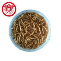 China Feed Additive Worm Meal Powder Optimal Protein Content of 57% for sale