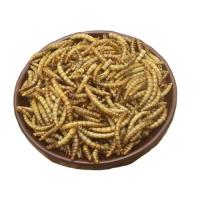 China Cattle Feed Additive Worm Meal in Powder Form for Enhanced Nutrition for sale