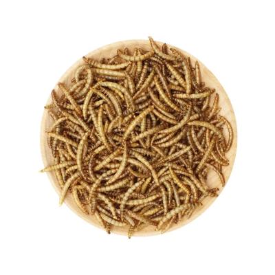 China DRIED MEALWORMS MEALWORMS BLACK SOLDIER FLY LARVAE from Vietnam Akina for sale