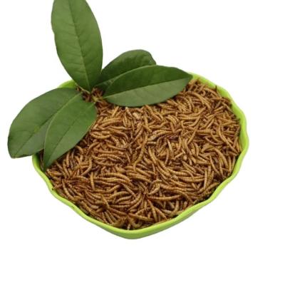 China Wholesale High Quality Yellow Dried Mealworms,Dried Mealworm Powder for sale