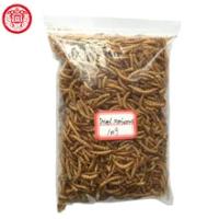 China Wholesale natural high protein pet feed AD/FD dried mealworms for pet food for sale