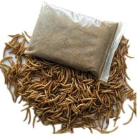 China Mealworm yellow mealworm bird turtle hamster special snack worm dried bird food pigeon food for sale