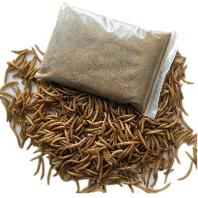 China Mealworm yellow mealworm bird turtle hamster special snack worm dried bird food pigeon food for sale