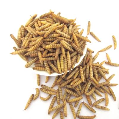 China Fine Powder Texture Powdered Soldier Fly with High Fiber Nutrients Combination for sale