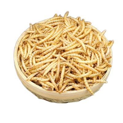 China Feeding Pet Freeze-Dried Mealworms with 1 Year Shelf Life and Long-Lasting Freshness for sale