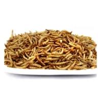China 1 Year Shelf Life Dried Mealworms with Dry and Cool Place Storage from for sale