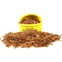 China Insects Dried Mealworms with 1 Year Shelf Life and High Fat Nutrition Content for sale