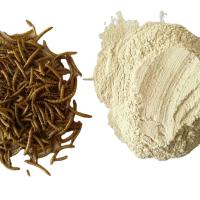 China High Protein Mealworm Powder Fine Powder for Animal Nutrition with 51% Protein Content for sale