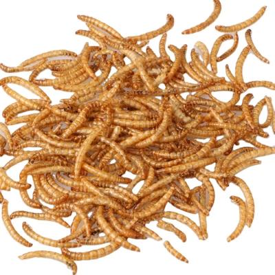 China Country of Origin Dried Mealworms High-Performance 1 Year Shelf Life for sale