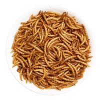 China s Finest Dried Mealworms High Iron Content for Optimal Nutrition for sale