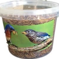 China Feeding Pet with Dried Mealworms Fat Nutrition Facts Guaranteed for sale