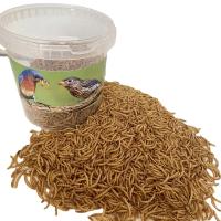 China Mealworms Ingredients Freeze-Dried Mealworms 1 Year Shelf Life and High-Performance Standards for sale
