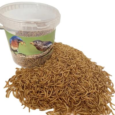 China Mealworms Ingredients Freeze-Dried Mealworms 1 Year Shelf Life and High-Performance Standards for sale