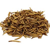 China 1 Year Shelf Life Dried Mealworms Made with Mealworms from s Professional for sale