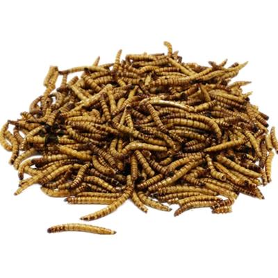 China 1 Year Shelf Life Dried Mealworms Made with Mealworms from s Professional for sale