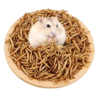 China Cool And Dry Place Mealworm Fat from for Storage Method for sale