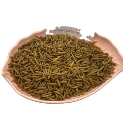 China Dried Black Soldier Fly Larvae Dry And Crispy Texture Yellow For Your Livestock Feed for sale