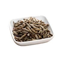 China Dry And Crispy Texture Black Soldier Fly Protein for Yellow Color for sale