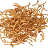 China High-Performance Freeze-Dried Mealworms for Dry And Cool Storage for sale