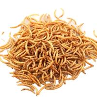 China 1 Year Shelf Life Dried Mealworms Made with Mealworms Directly for sale