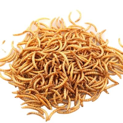 China 1 Year Shelf Life Dried Mealworms Made with Mealworms Directly for sale