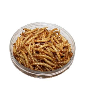 China Light Yellow Mealworm Protein Powder Natural and Defesins Ingredients for sale