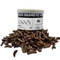 China Boost Your Insect Feed with Dried Black Soldier Fly Availability Widely Available for sale