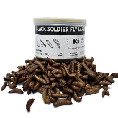 China Boost Your Insect Feed with Dried Black Soldier Fly Availability Widely Available for sale