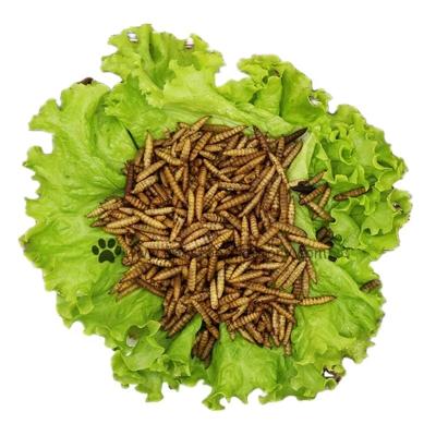 China High-Performance Dried Black Soldier Fly Yellow 3-5cm Shelf Life 1 Year for sale
