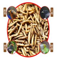 China 3-5cm Black Soldier Fly Protein Cool and Dry Storage for Customer Requirements for sale