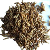 China 15% Fat 50% Protein Content Black Soldier Fly Protein Powder for 2 Years Shelf Life for sale