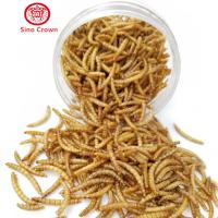 China Feeding Pet with Freeze-Dried Mealworms Insects A Smart Choice for sale