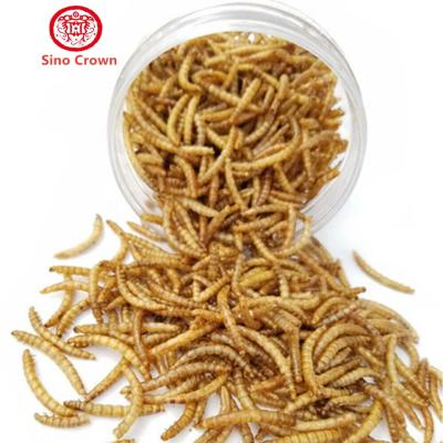 China Feeding Pet with Freeze-Dried Mealworms Insects A Smart Choice for sale
