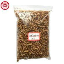 China Storage in Dry And Cool Place High Protein Dried Mealworms with Nutrition Facts for sale